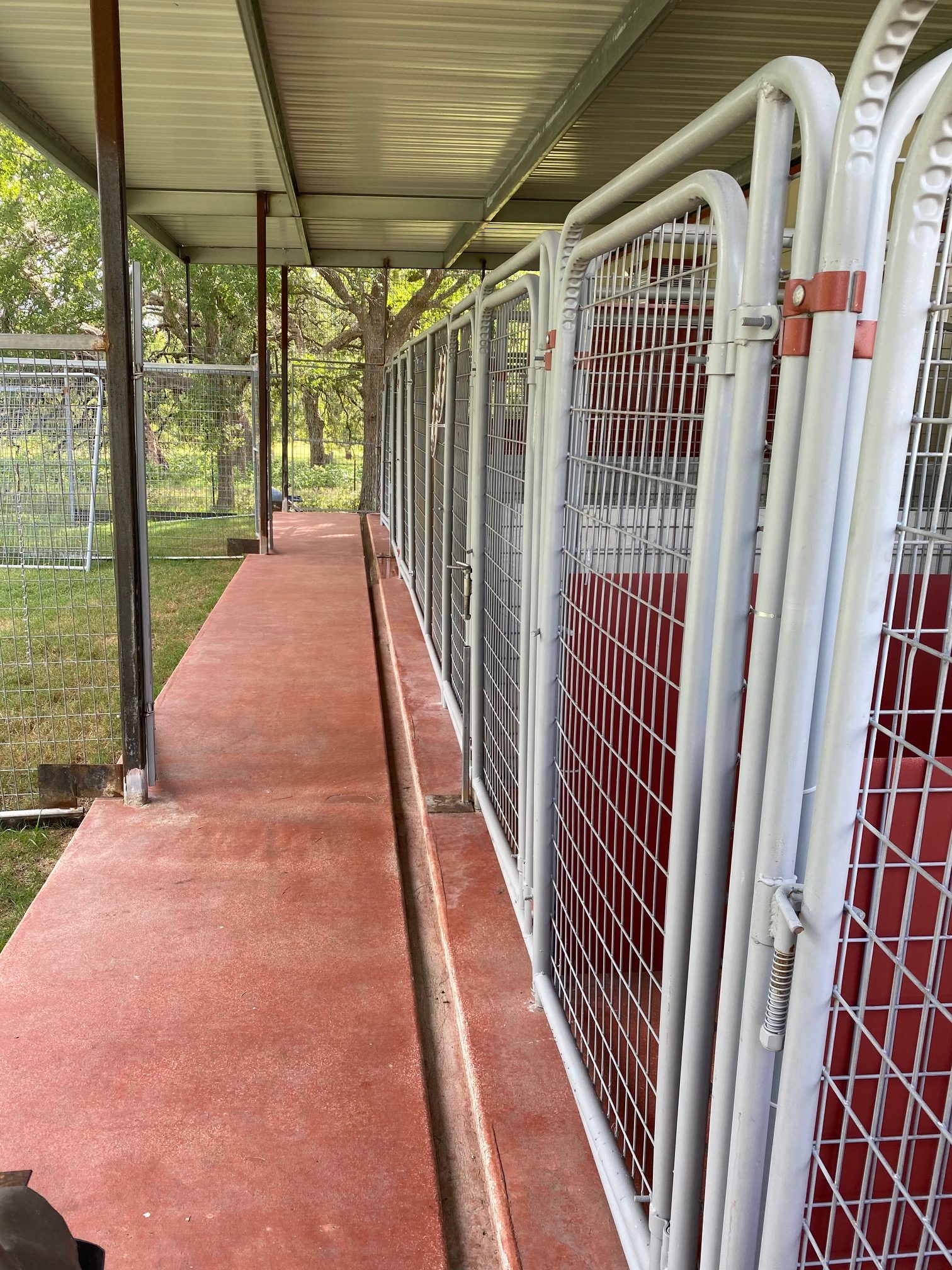 Kennel Tour – 4 Paws Country Dog Boarding
